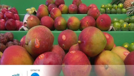 Quels sont les bienfaits des fruits ? - Minutefacile.com