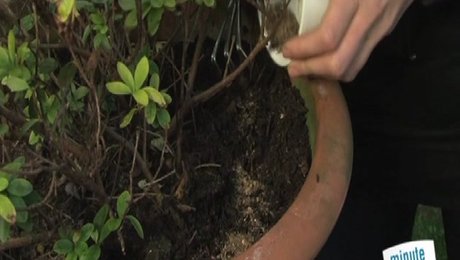 Comment acidifier un sol ? - Minutefacile.com