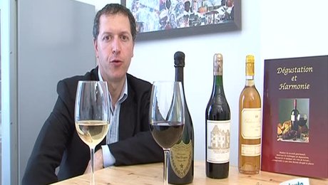 Les différents cépages de vin - Minutefacile.com