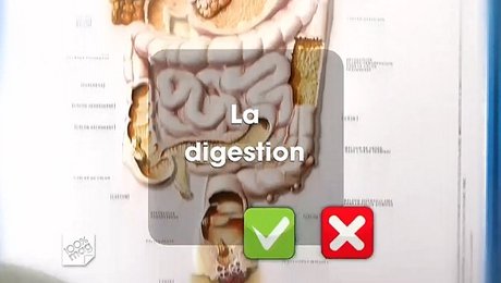 Avoir une bonne digestion - Minutefacile.com
