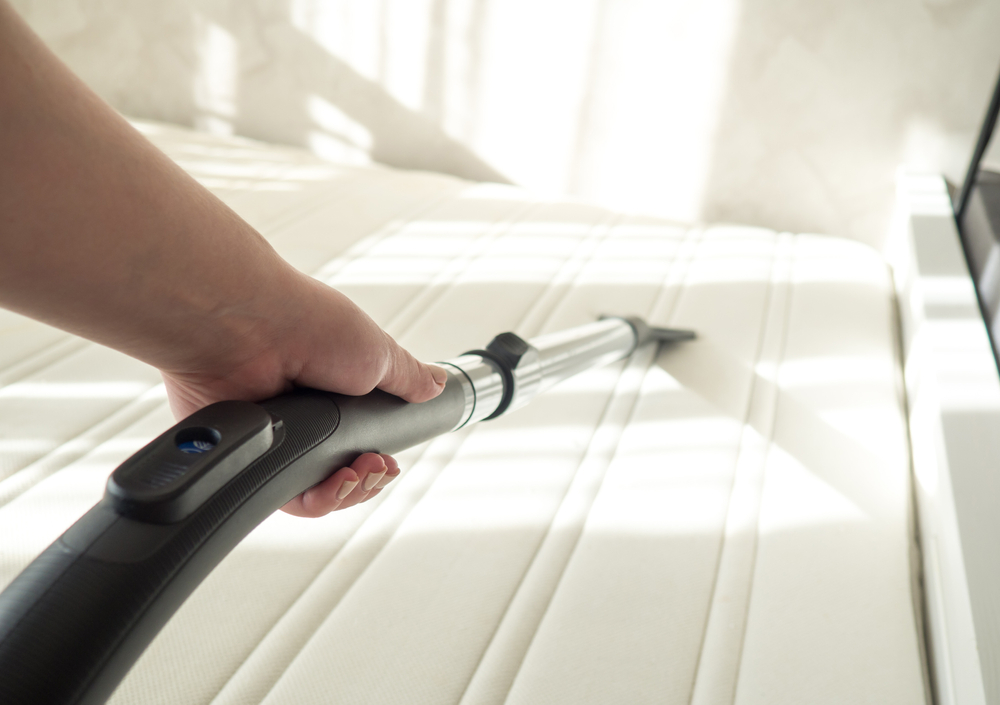 Comment se débarrasser des acariens dans la maison - Minute Facile